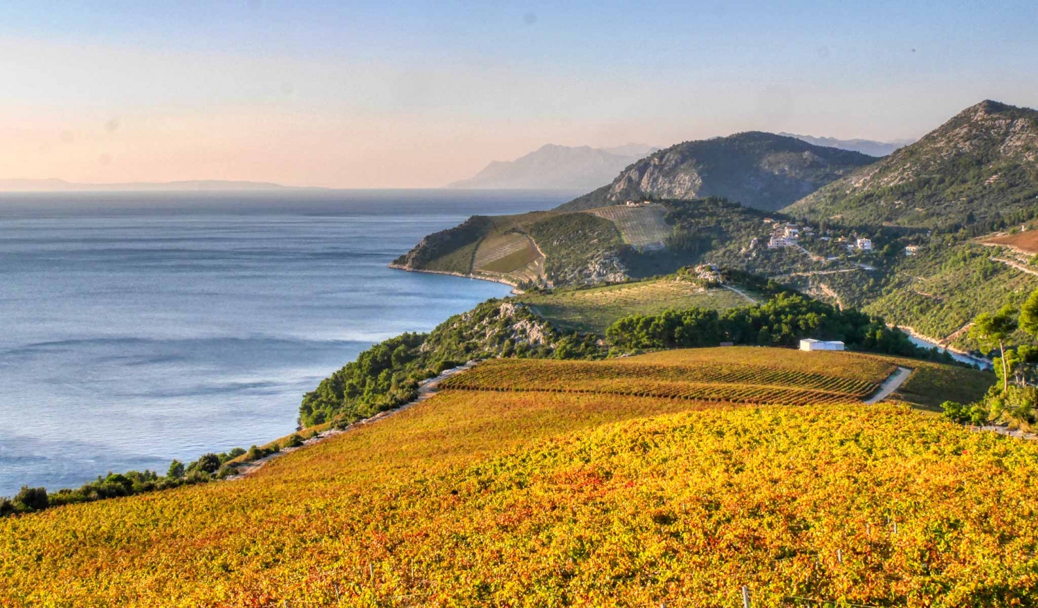 8 Best Things To Do in Komarna, Croatia | Villa Dorida